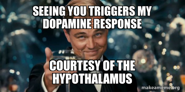 Seeing you triggers my dopamine response Courtesy of the hypothalamus ...