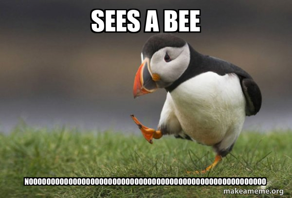 sees a bee noooooooooooooooooooooooooooooooooooooooooooooooooooooo ...