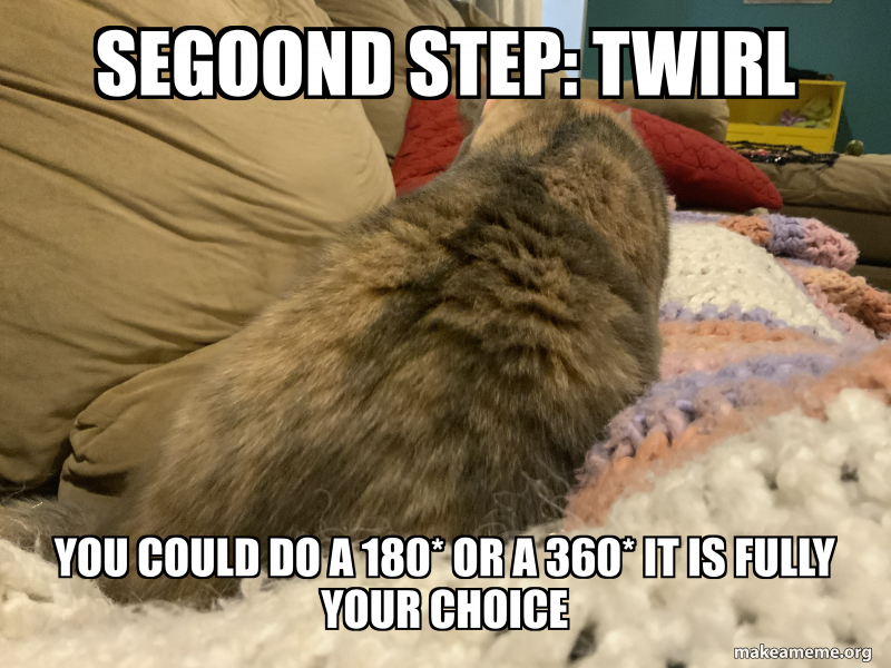 Segoond step: twirl You could do a 180* or a 360* it is fully your ...