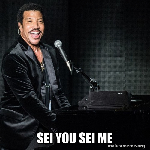 SeI you SeI me Meme Generator