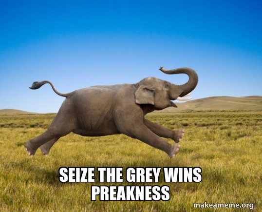 seize the grey wins preakness Meme Generator