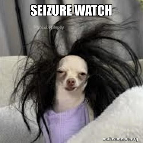 Seizure watch Meme Generator