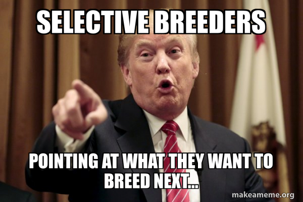 Selective breeders Pointing at what they want to breed next... - Donald ...
