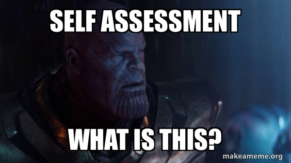 Self Assessment what is this? - Thanos - Impossible Meme Generator