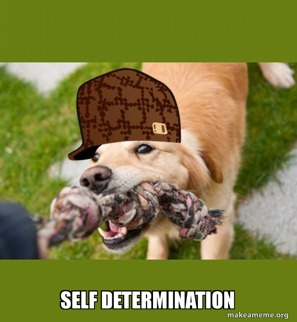 Self Determination - Scumbag dog Meme Generator