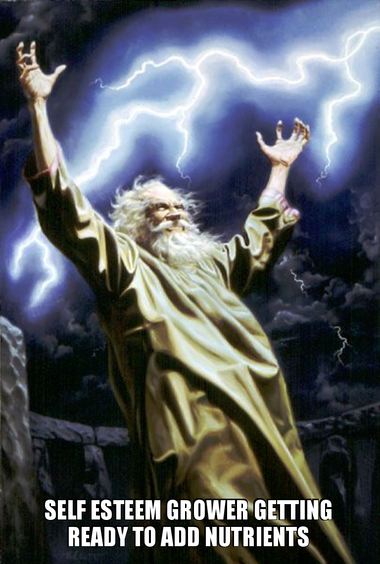 Self esteem grower getting ready to add nutrients Meme Generator