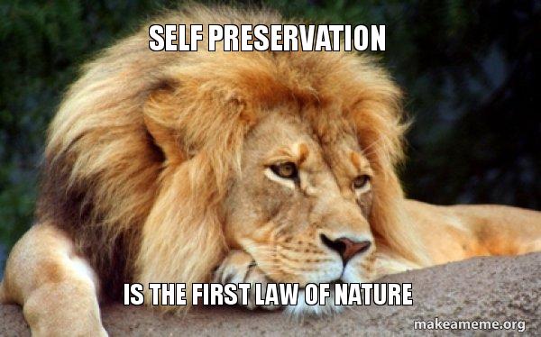 Self Preservation Memes AI Notkilleveryoneism Memes ⏸ On X: