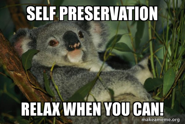 Self Preservation Memes