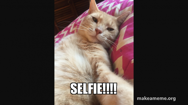 selfie!!!! Meme Generator