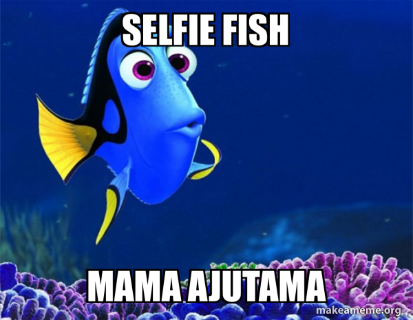 Selfie fish Mama ajutama - Dory from Nemo (5 second memory) Meme Generator