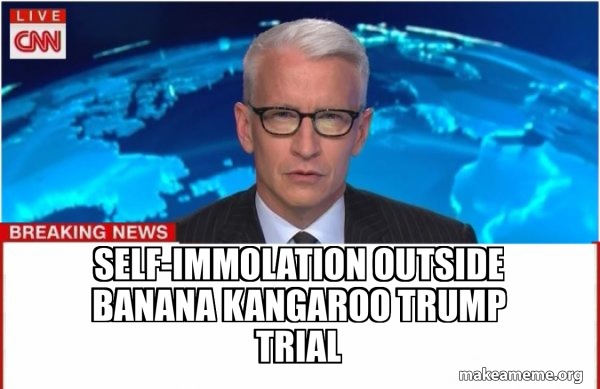 self-immolation outside banana kangaroo trump trial - Fake Headline ...