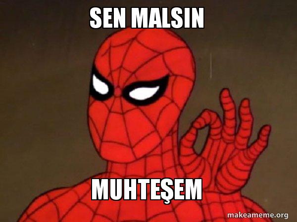 Sen MalsÄ±n MuhteÅŸem - Spiderman - Care factor Zero Meme Generator