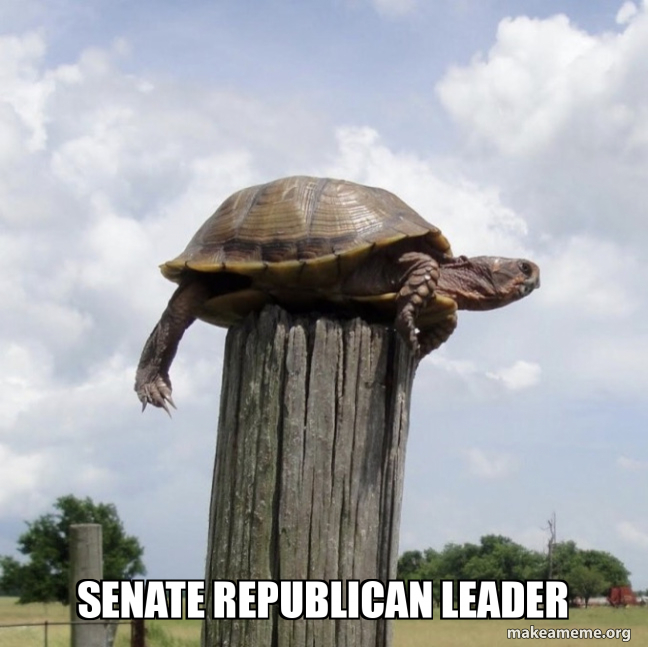 senate republican leader Meme Generator