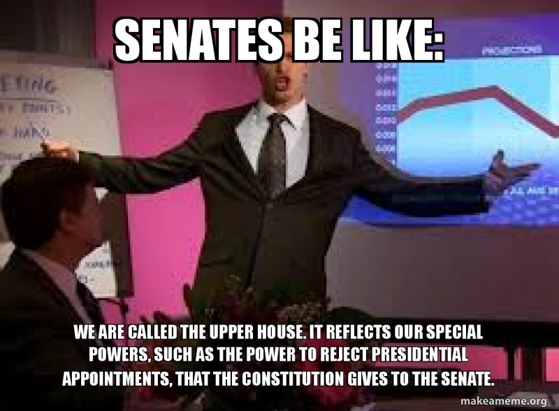 Senates be like: We are called the upper house. It reflects our special ...