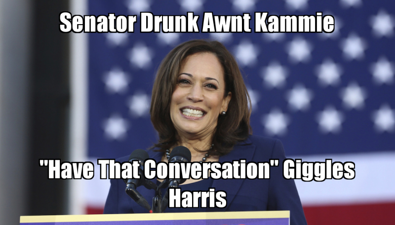 Senator Drunk Awnt Kammie "Have That Conversation" Giggles Harris Meme ...