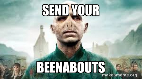 SEND YOUR BEENABOUTS Meme Generator