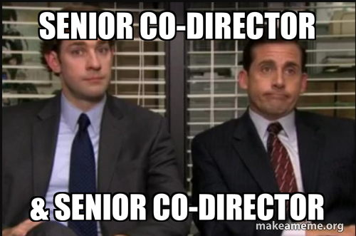 Senior Co-Director & senior Co-Director Meme Generator