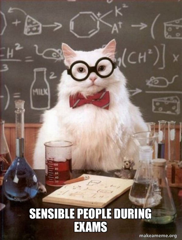 sensible people during exams - Chemistry Cat Meme Generator