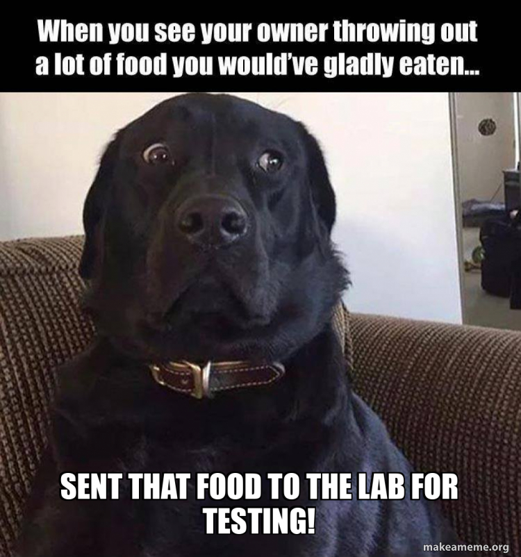 SENT THAT FOOD TO THE LAB FOR TESTING! Meme Generator