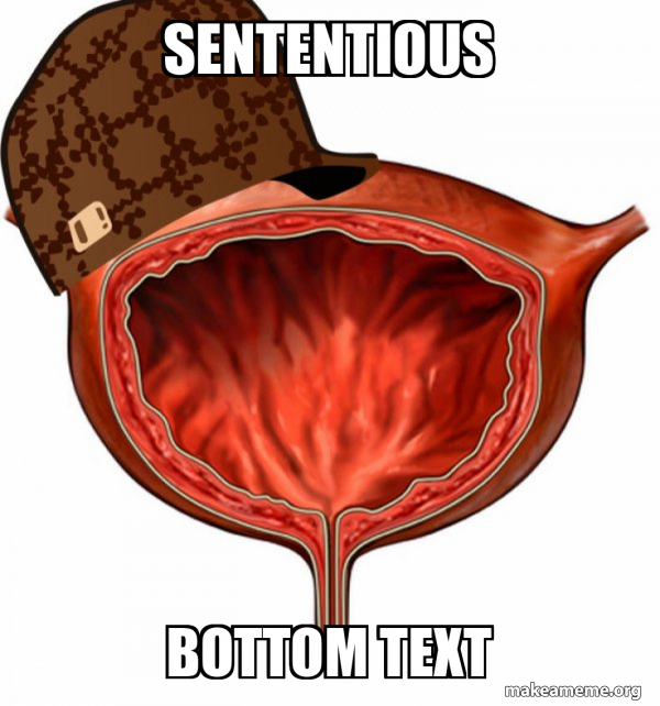 Sententious Bottom Text - Scumbag Bladder | Make a Meme