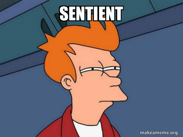 sentient - Futurama Fry Meme Generator