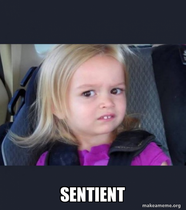 sentient - Side-Eyes Chloe Meme Generator