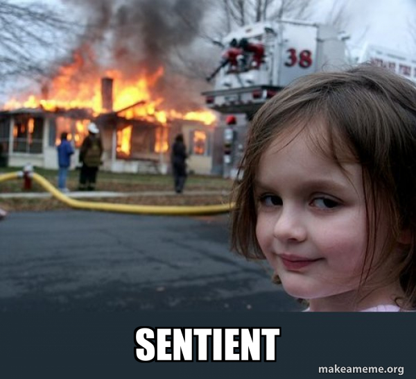 sentient - Disaster Girl Meme Generator