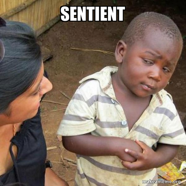 sentient - Skeptical Third World Kid Meme Generator