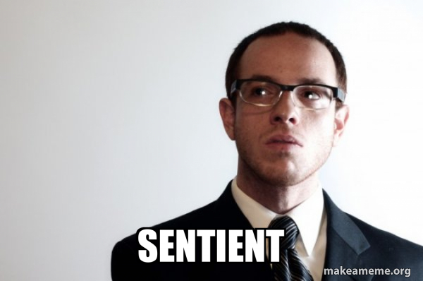 Sentient - Sexually Oblivious Boyfriend Meme Generator
