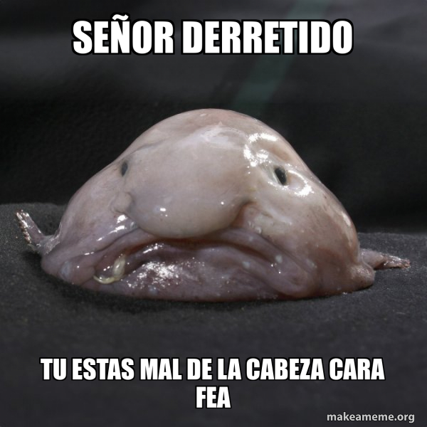 señor derretido tu estas mal de la cabeza cara fea - Blobfish Meme ...