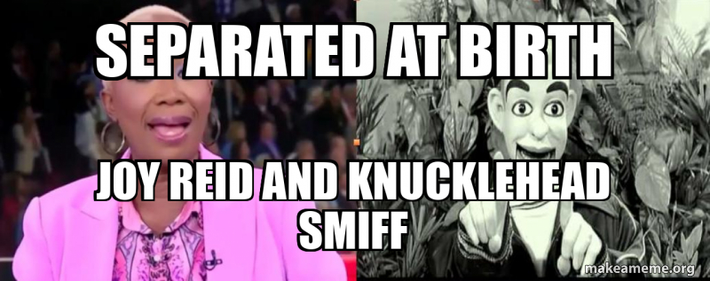 SEPARATED AT BIRTH Joy reid and knucklehead smiff Meme Generator
