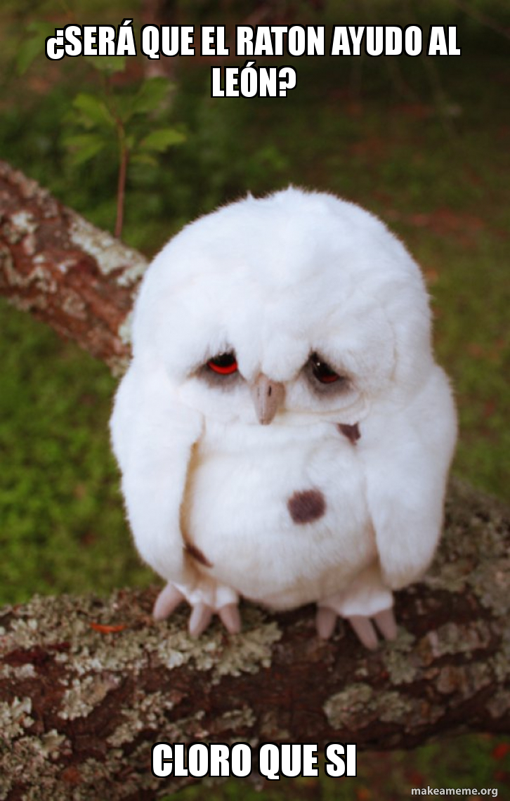 Â¿serÃ¡ que el raton ayudo al leÃ³n? cloro que si - Sad Owl Meme Generator