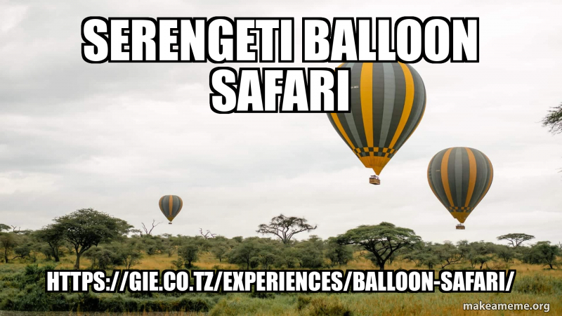 Serengeti balloon safari https://gie.co.tz/experiences/balloon-safari ...
