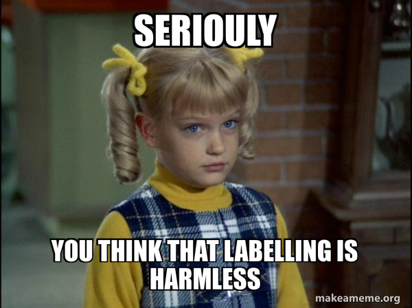 seriouly you think that labelling is harmless - Cindy Brady Meme Meme ...