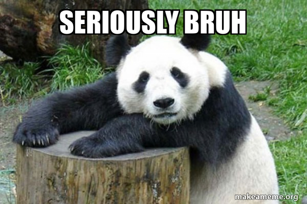 Seriously bruh - Confession Panda Meme Generator