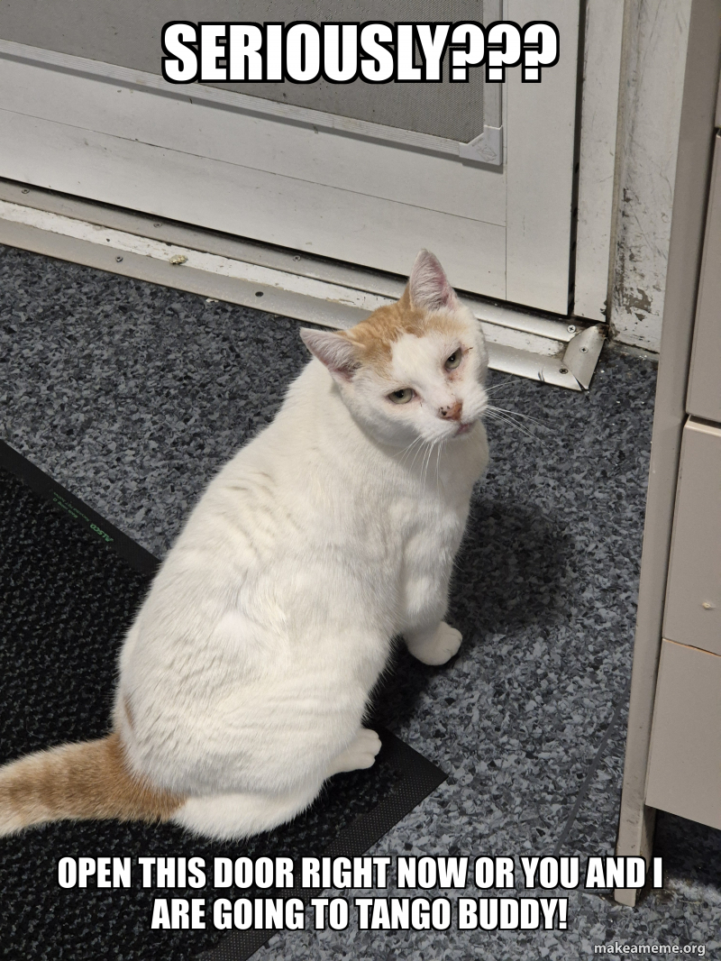 Seriously??? Open this door right now or you and I are going to tango ...