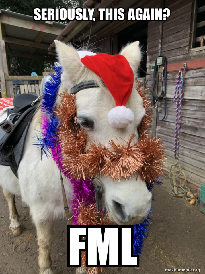 seriously, this again? FML Meme Generator