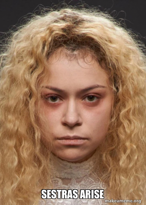 SESTRAs arise Meme Generator