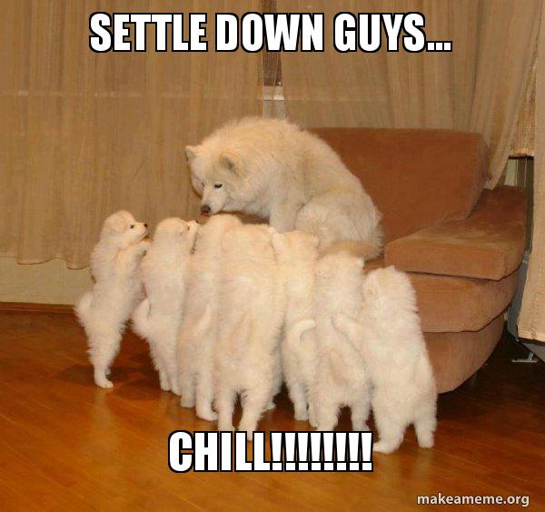 settle down guys... CHILL!!!!!!!! - Storytelling Dog Meme Generator