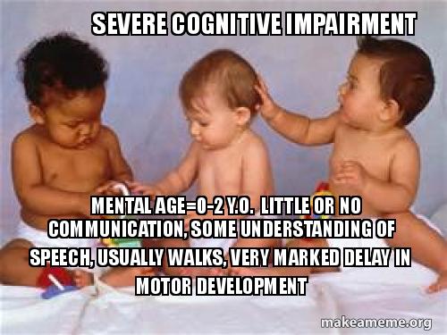 Severe Cognitive Impairment Mental Age=0-2 y.o. Little or no ...