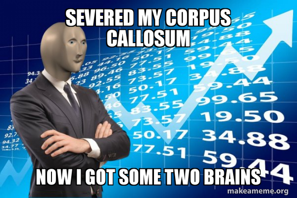 Severed my corpus callosum Now I got some two brains - Stonks Only Go ...