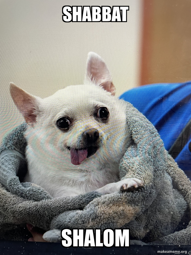 Shabbat Shalom Meme Generator
