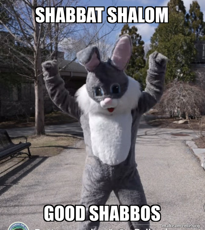 Shabbat shalom Good shabbos Meme Generator