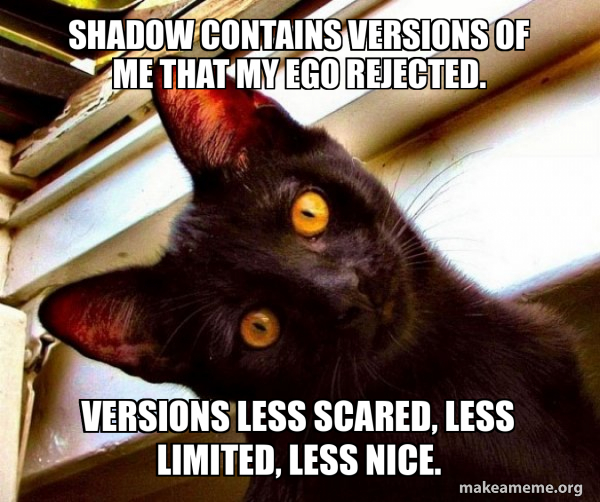 Shadow contains versions of me that my Ego rejected. Versions less ...