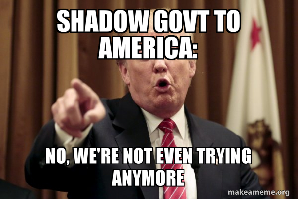 shadow govt to America: no, we're not even trying anymore - Donald ...