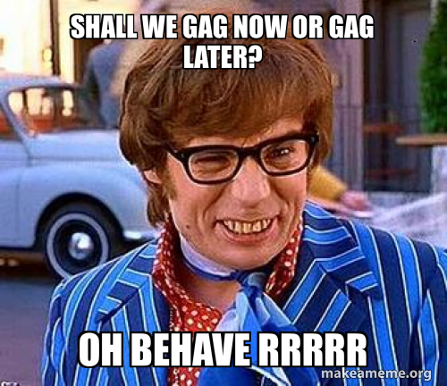 shall we gag now OR GAG LATER? oh behave rrrrr Meme Generator