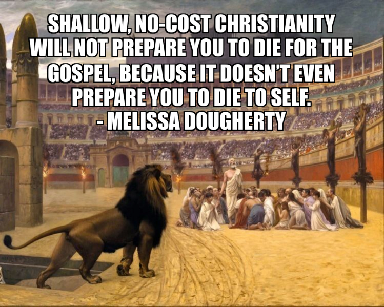 Shallow, no-cost Christianity will not prepare you to die for the ...