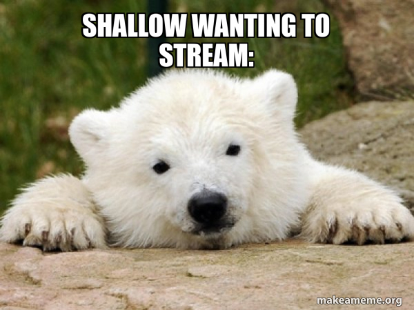 Shallow Wanting to Stream: - Popular Opinion Bear Meme Generator
