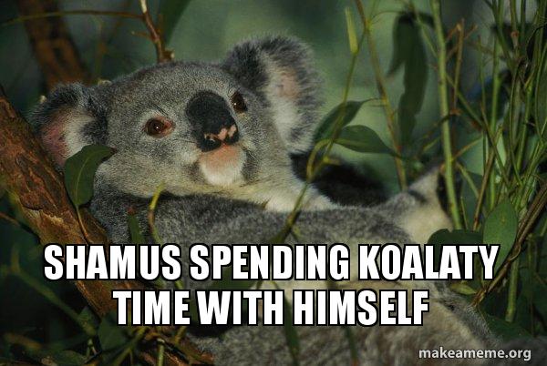 Shamus spending koalaty time with himself - Laid Back Koala Meme Generator