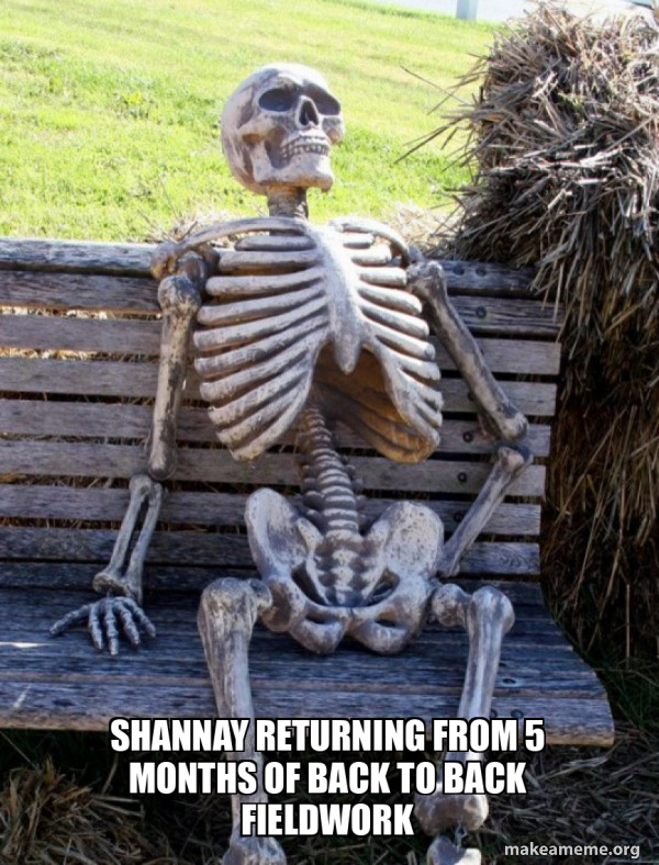 Shannay returning from 5 months of back to back fieldwork - Waiting ...